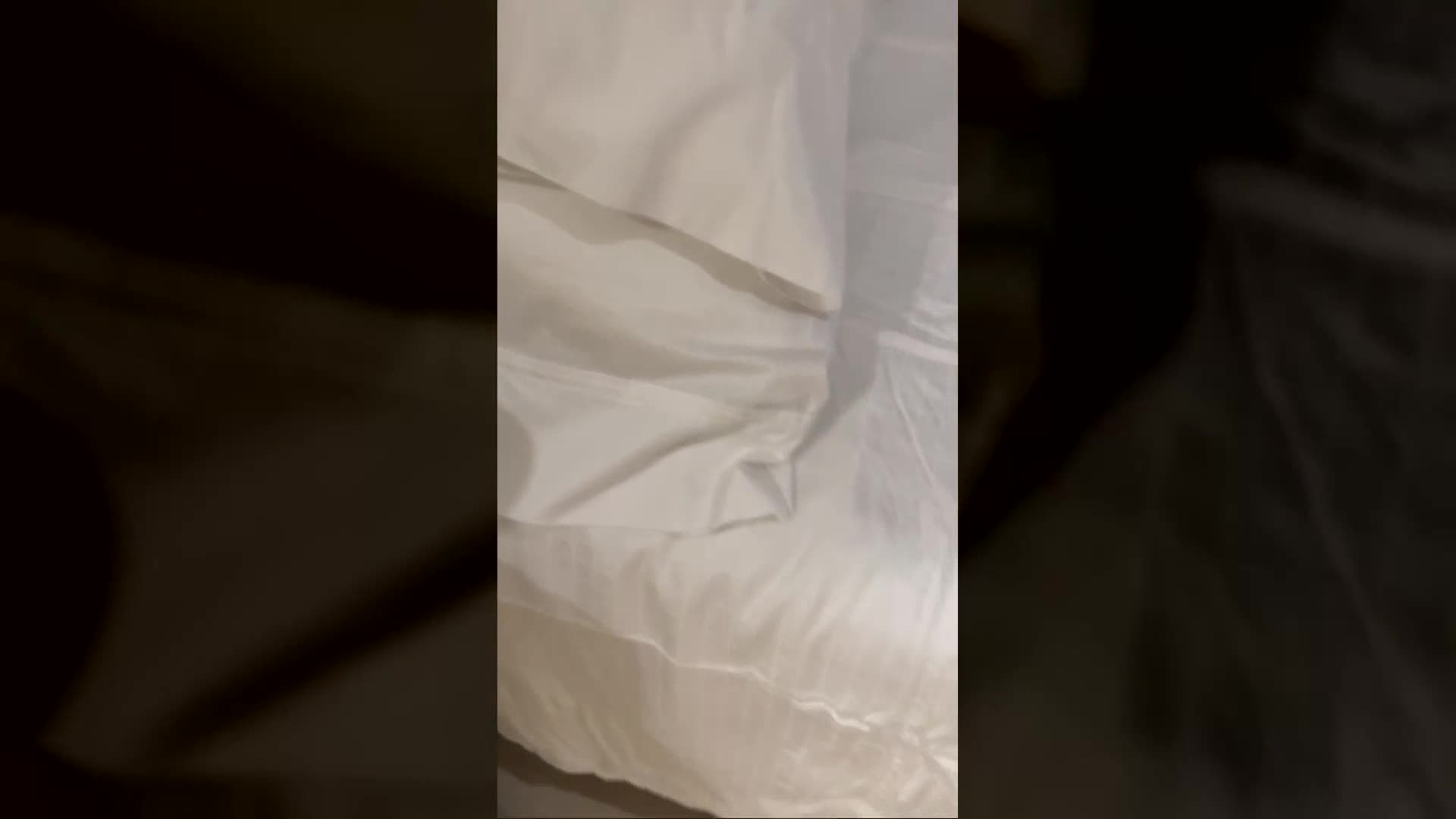 Litfad Reviews - 605 Reviews of Litfad.com | Sitejabber